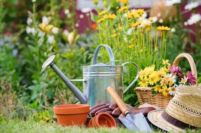 Cómo cultivar flores – The Home Depot Blog