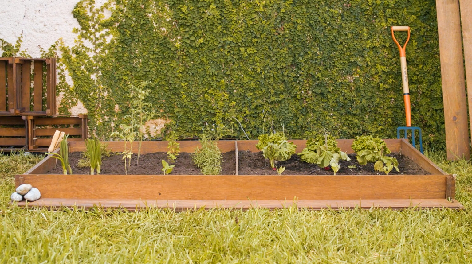 ¿Cuándo y cómo cosechar nuestro huerto? – The Home Depot Blog